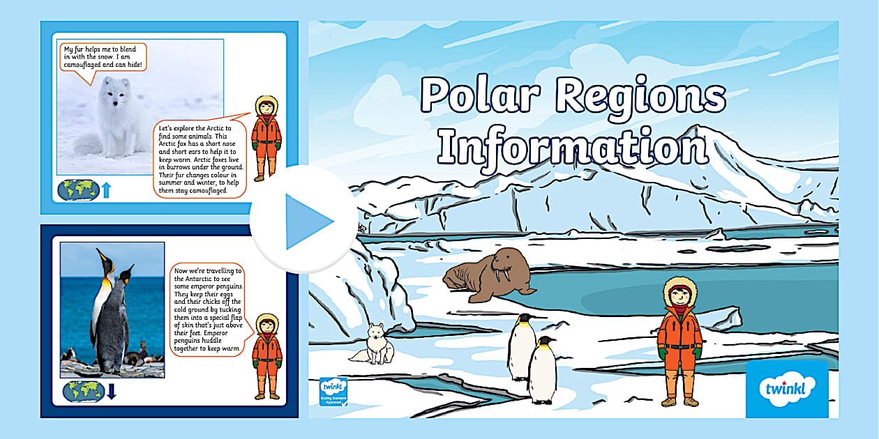 EYFS Polar Regions Information PowerPoint - Twinkl