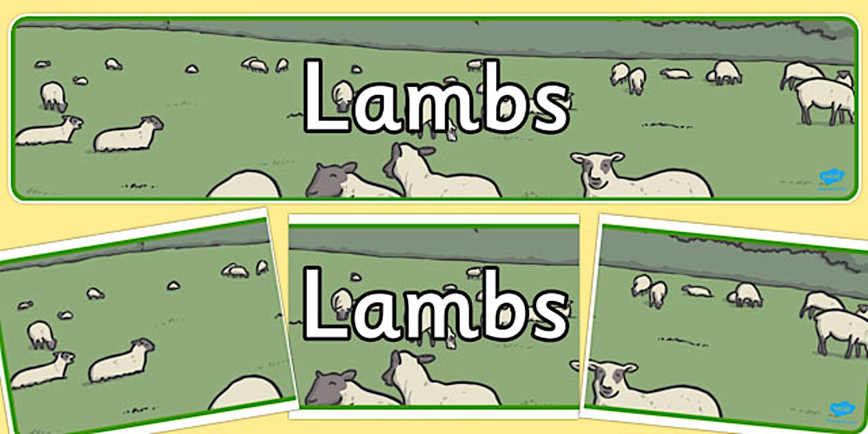 Lambs Display Banner (teacher made) - Twinkl