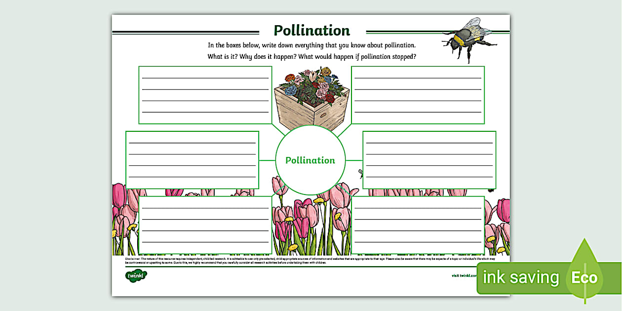Pollination Mind Map (teacher made) - Twinkl