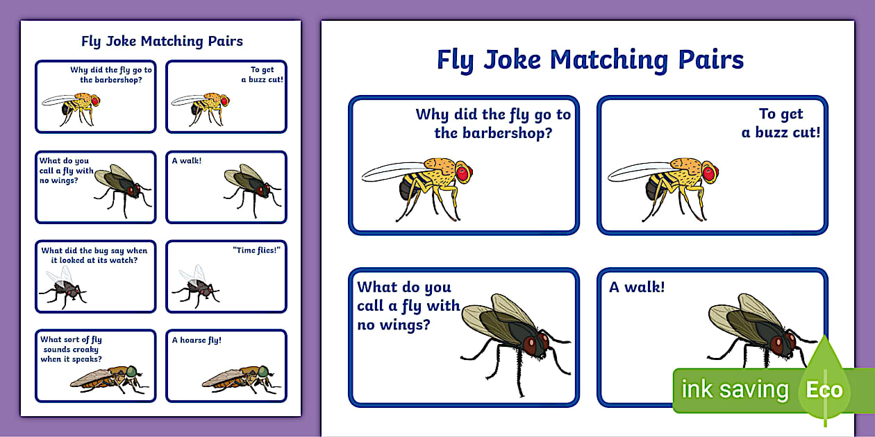 Fly Joke Matching Pairs (Teacher-Made) - Twinkl