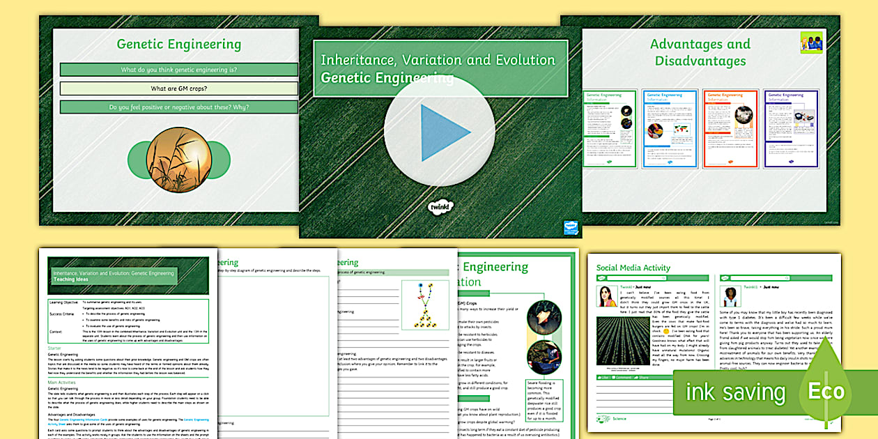 AQA Inheritance, Variation and Evolution Lesson 13: Genetic Engineering