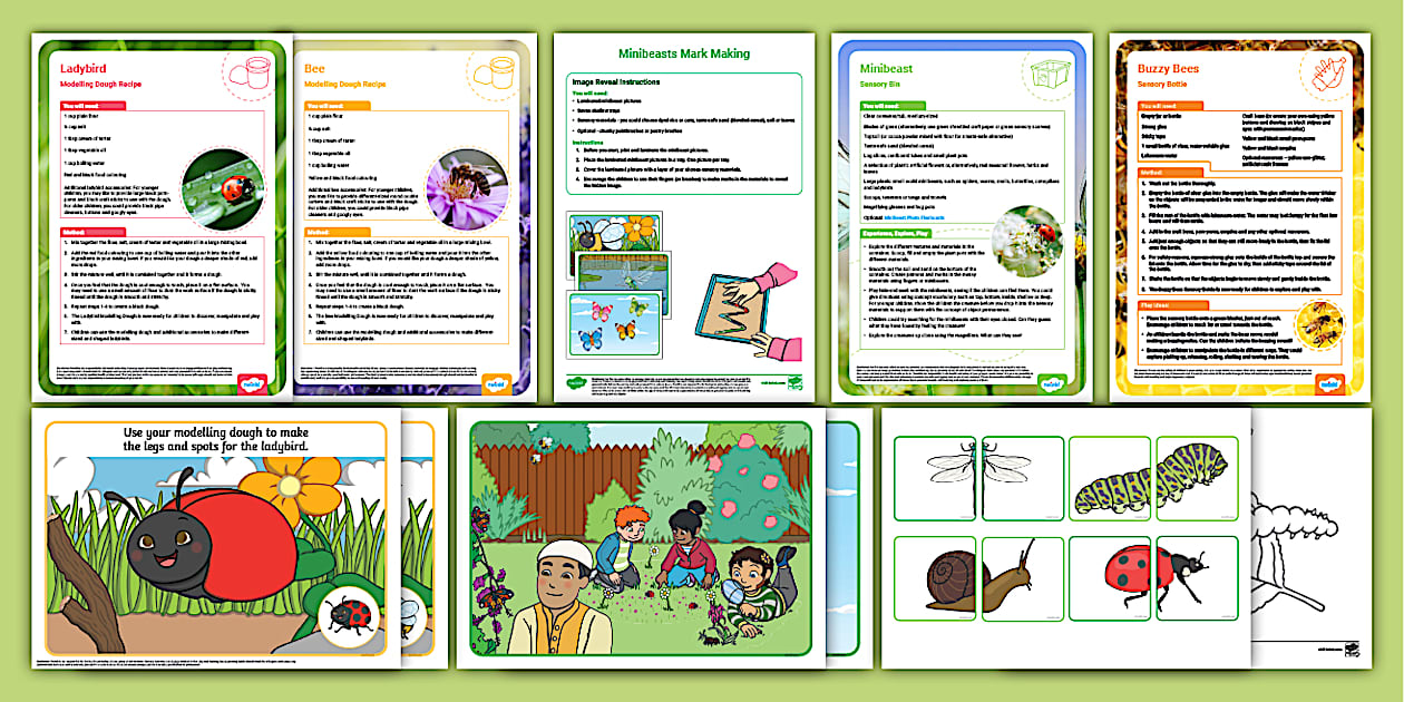 Kindergarten Minibeasts Resource Pack (Ages 2-3) | Twinkl