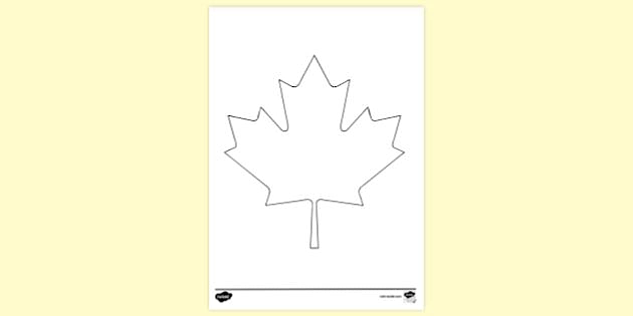 Maple Leaf Colouring Sheets | Colouring Pages (teacher made)