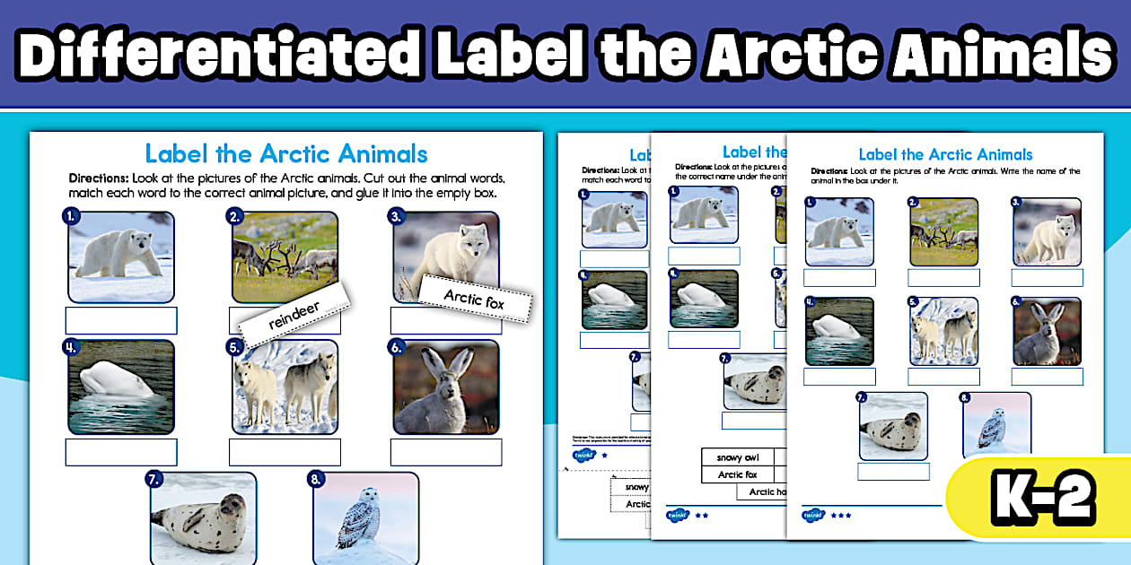 Label the Arctic Animals Differentiated Worksheet