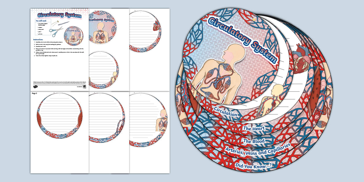 Circulatory System Circles Booklet (teacher made) - Twinkl