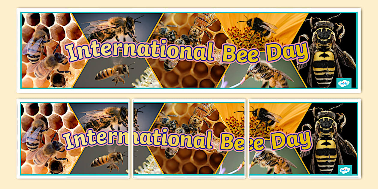 International Bee Day Photo Display Banner (teacher made)