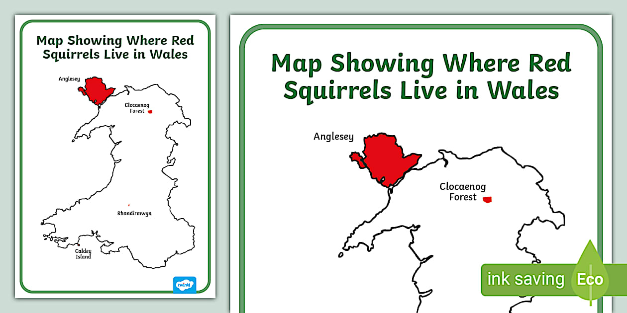 Red Squirrel Map of Wales (teacher made) - Twinkl
