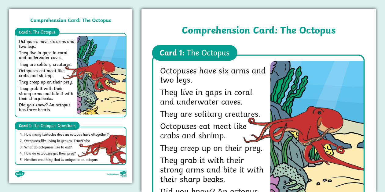 Comprehension Cards: The Octopus (teacher made) - Twinkl