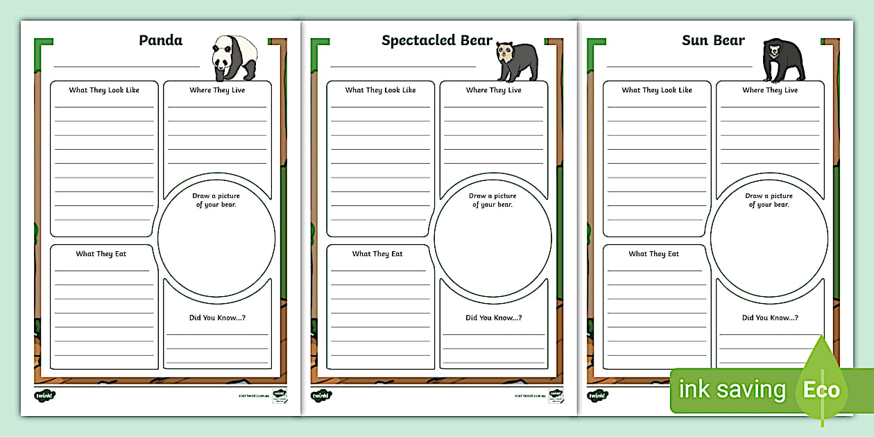 Bear Information Report Writing pack (teacher made) - Twinkl