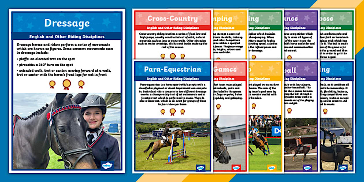 English and Other Riding Disciplines Poster Set - Twinkl