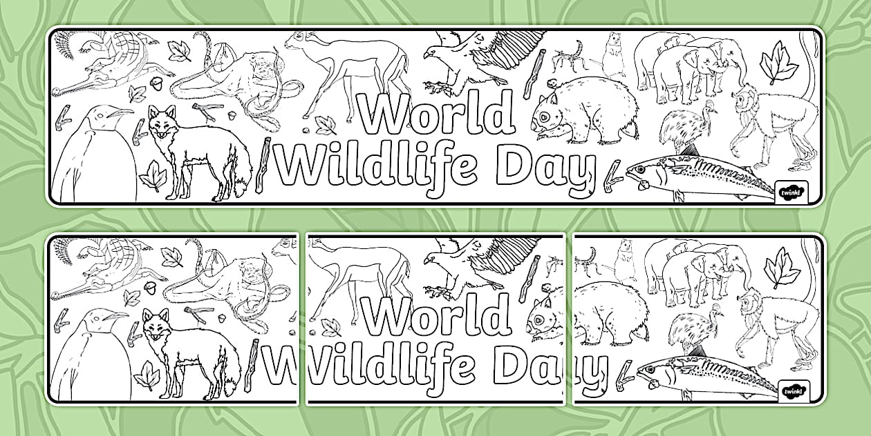 World Wildlife Day Colouring Display Banner (teacher made)