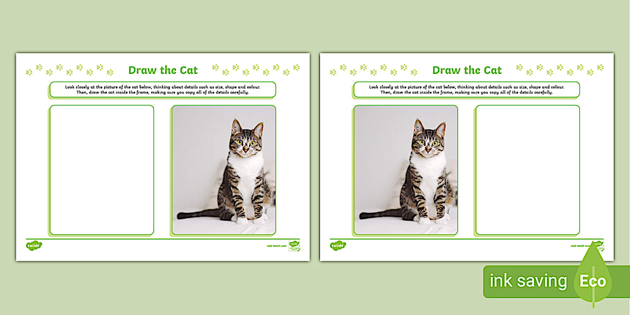 Draw a Cat Art Activity (teacher made) - Twinkl