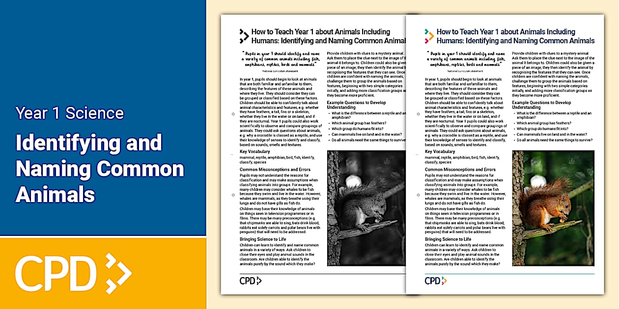 How to Teach Year 1 about Animals Including Humans: Identifying and Naming