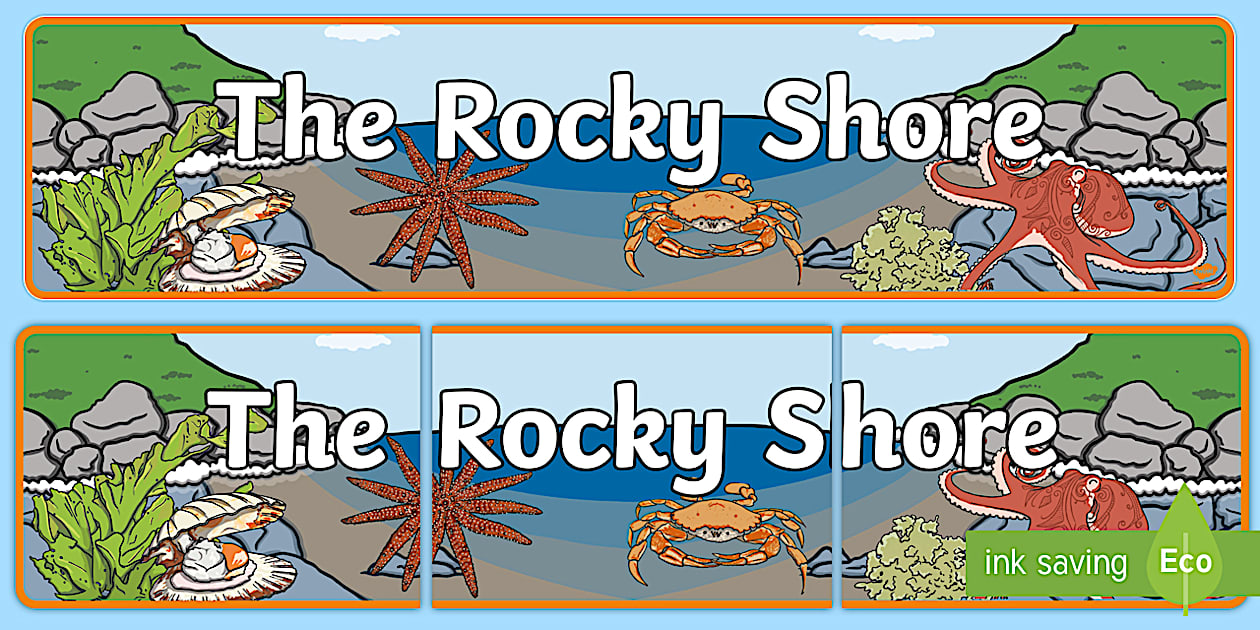 The Rocky Shore Display Banner (teacher made) - Twinkl