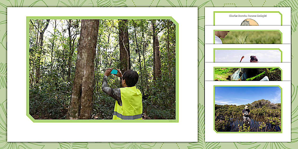 STEM Jobs: Ecologist Display Photos (teacher made) - Twinkl