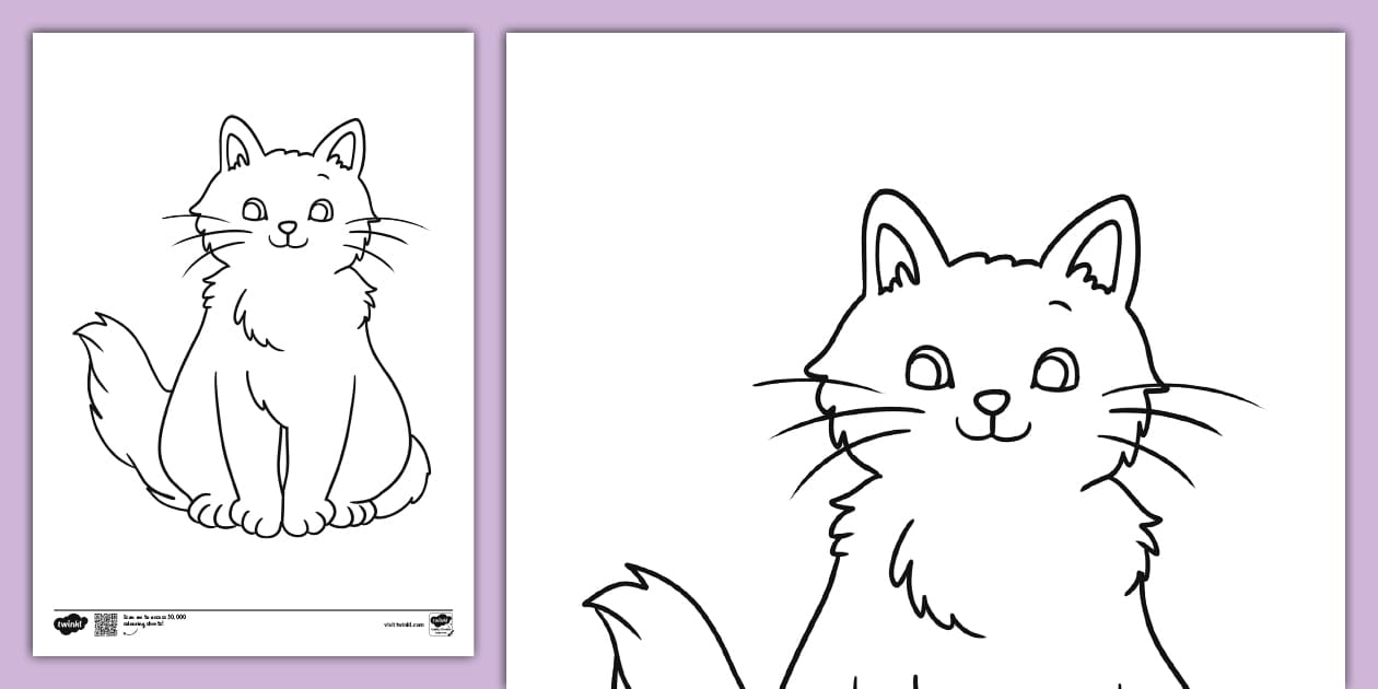 Cat Colouring Sheet | Colouring | Colouring Sheets - Twinkl