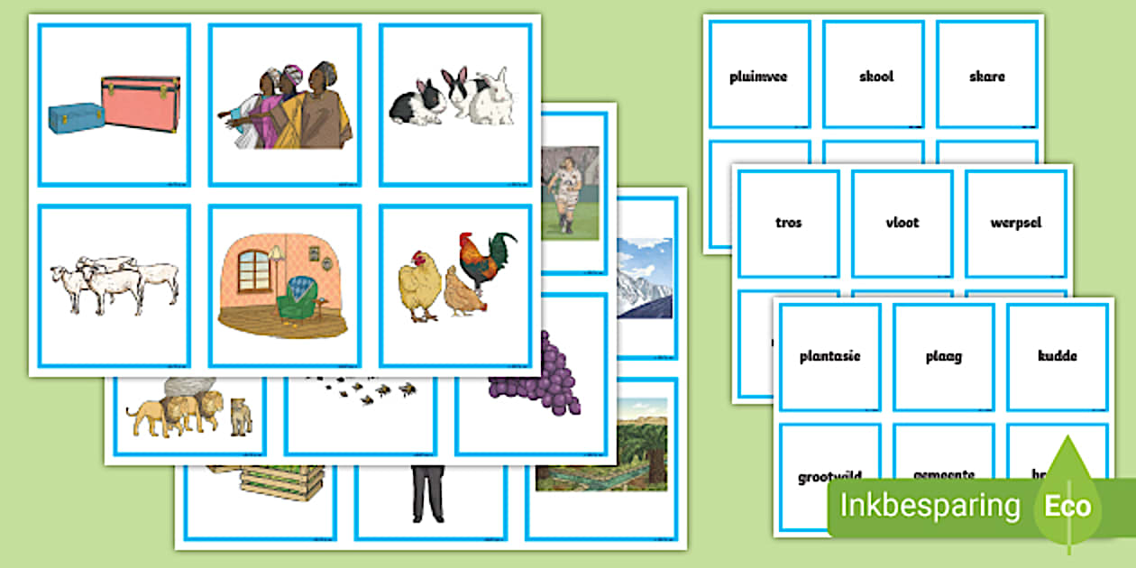 Versamelname Geheue Speletjie (professor feito) - Twinkl