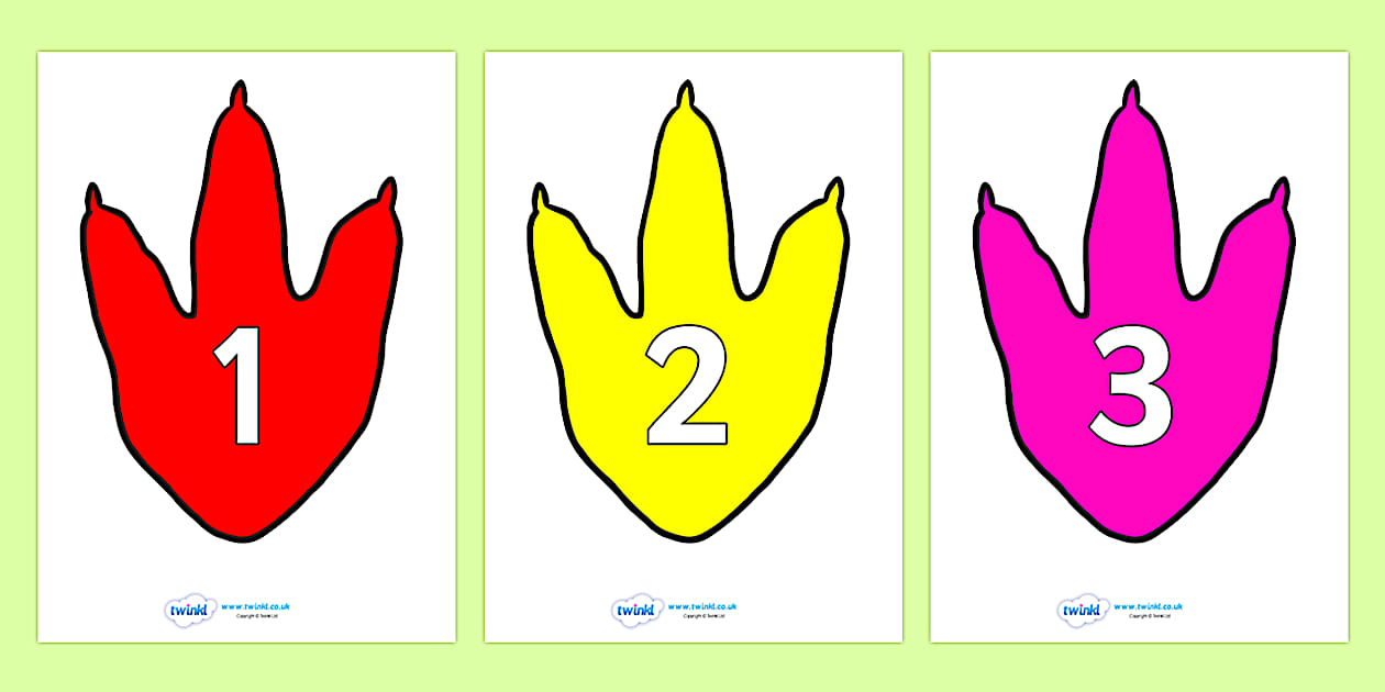 Numbers 1 30 on Dinosaur Footprints (teacher made) - Twinkl