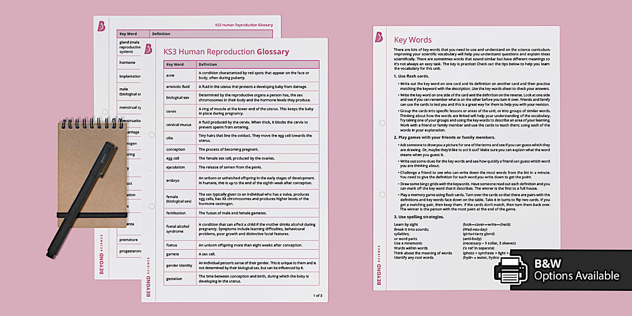 KS3 Human Reproduction Glossary (teacher made) - Twinkl