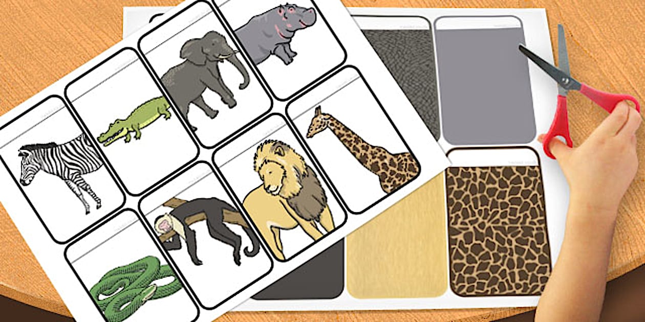 Black and White Wild Animals Colour Matching Activity Flashcards