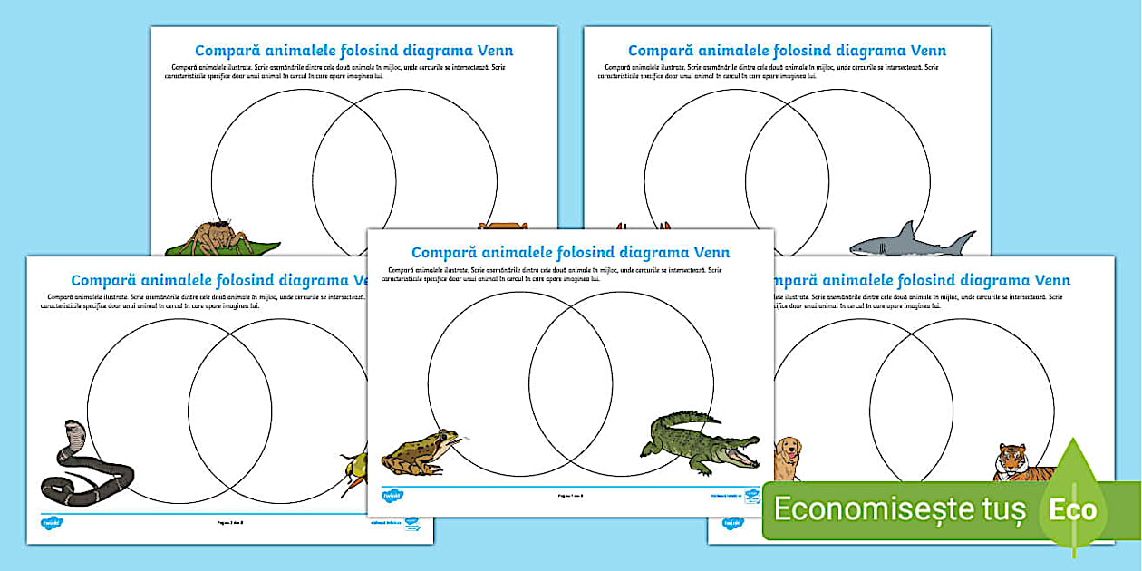 Asemănări și deosebiri între animale Activitate de comparare