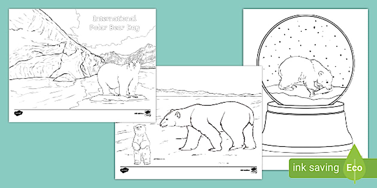 International Polar Bear Day Colouring Pages - Twinkl