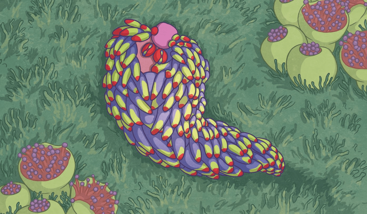 Can You Spot the Fake News Story? - Twinkl NewsRoom - Twinkl