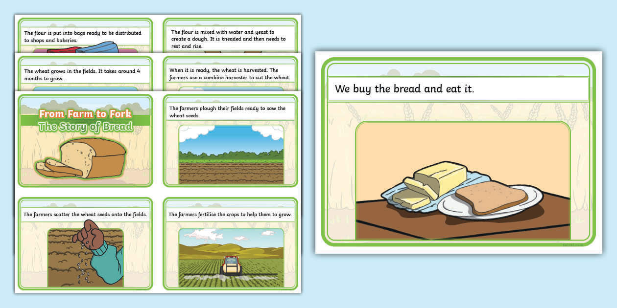 From Farm to Fork: The Story of Bread Sequencing Cards