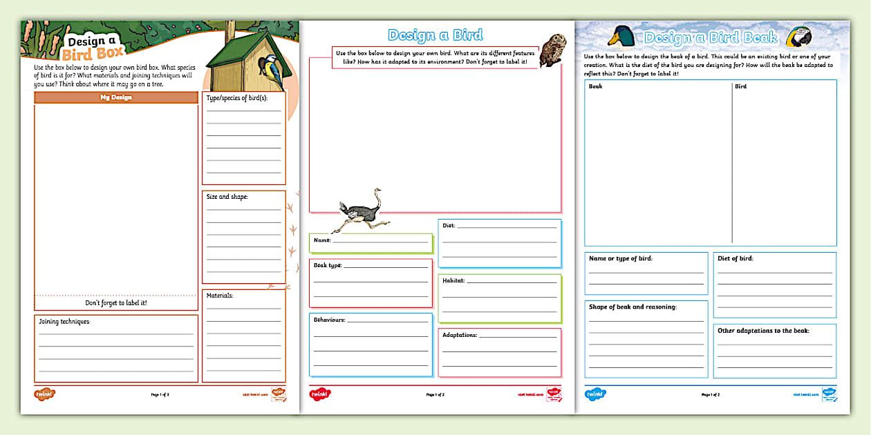 KS2 Bird Design and Craft Activities Pack (teacher made)