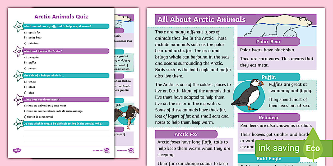 KS1 Arctic Animals Fact File and Quiz (teacher made)