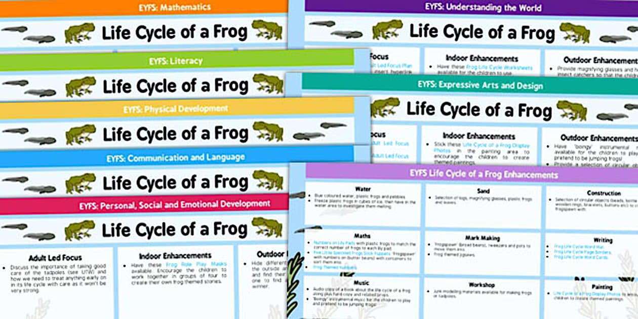 Editable Life Cycle Of A Frog Medium Term And Enhancements EYFS Planning