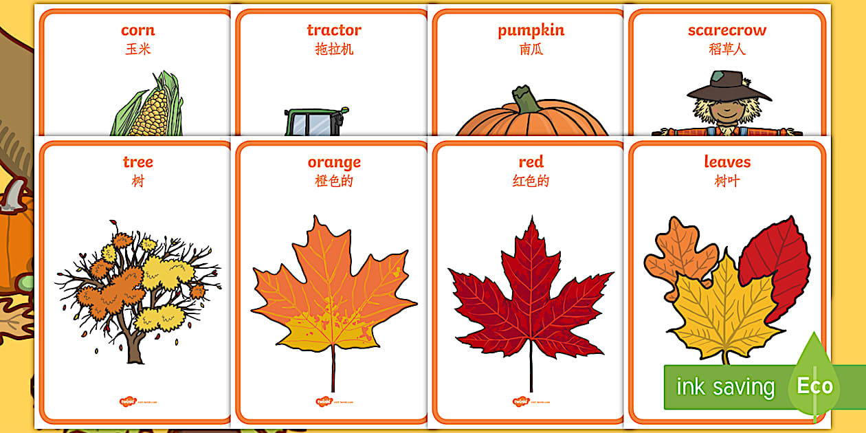 Autumn Display Posters English/Mandarin Chinese - Autumn Display Posters