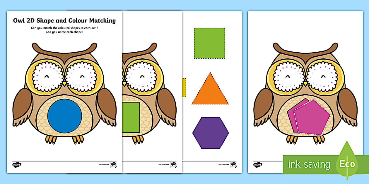 Owl-Themed Colour Matching Activity (teacher made) - Twinkl