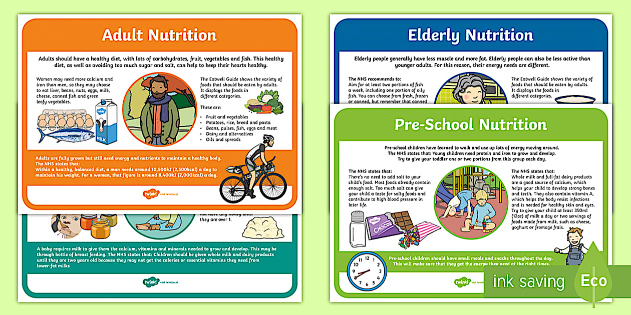 Nutrition Throughout Life Display Facts Posters - Twinkl