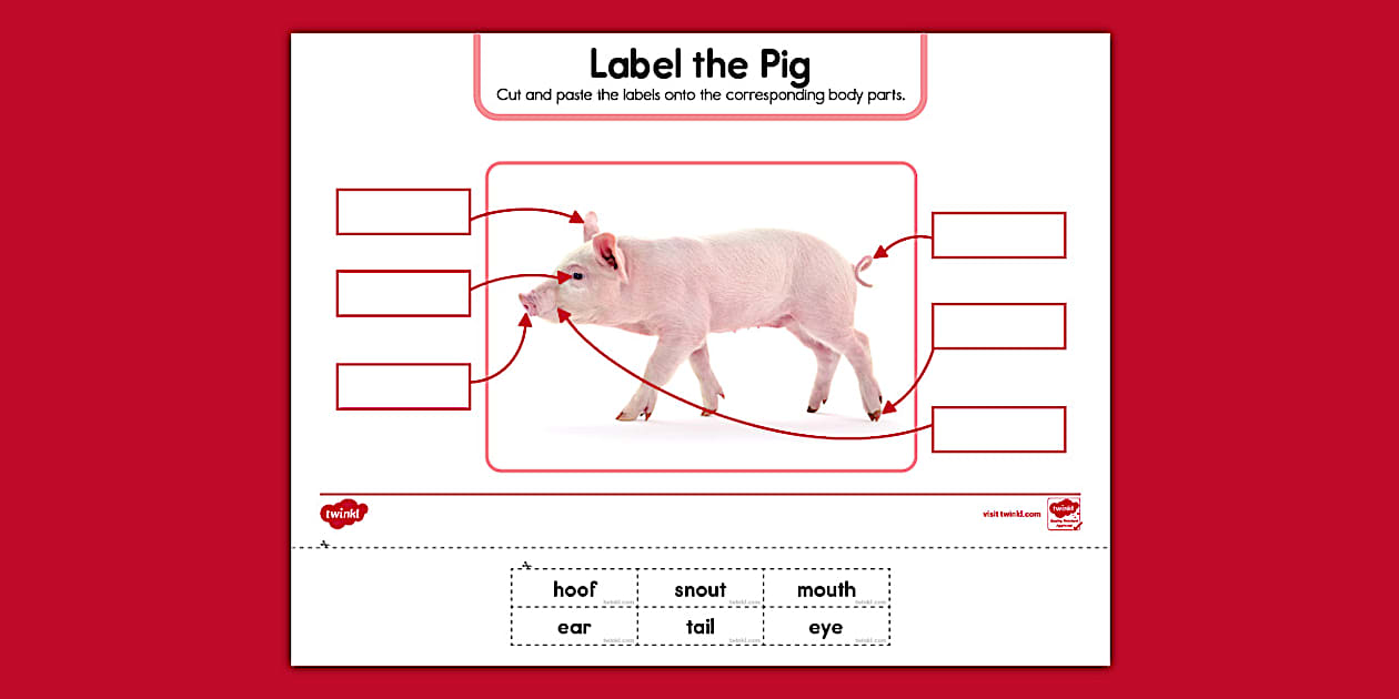 Early Childhood Label the Pig Cut and Paste Worksheet