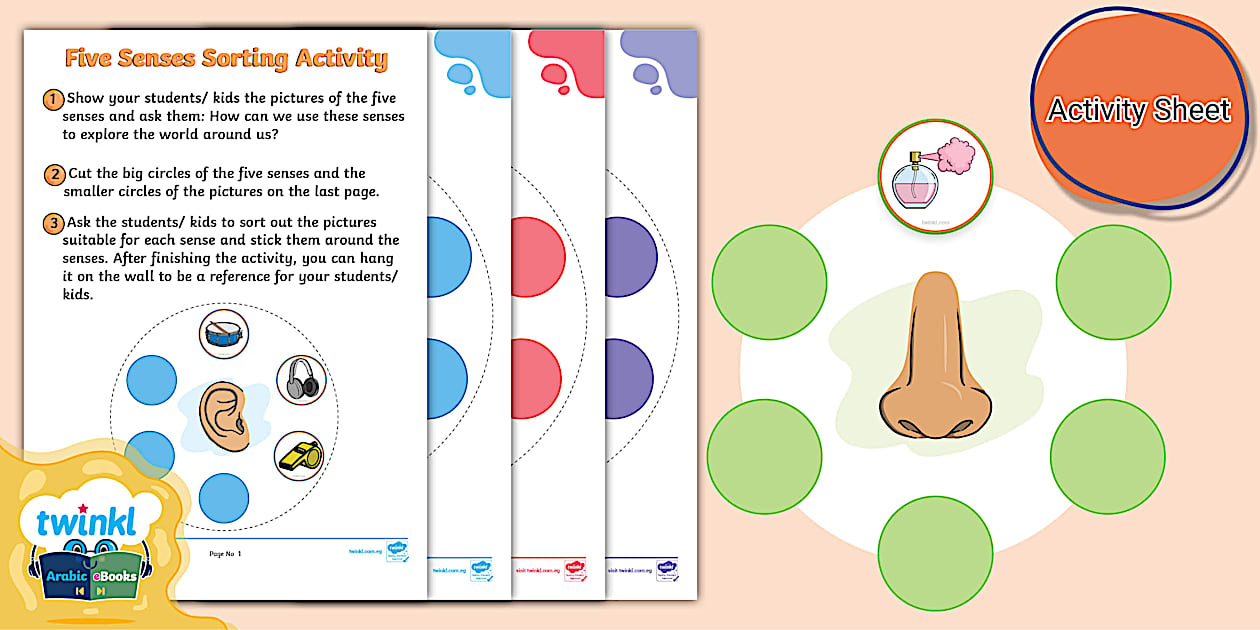 Five Senses Sorting Activity Sheet