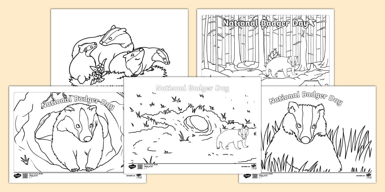 KS1 National Badger Day Colouring Pages (teacher made)