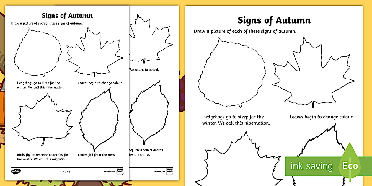 Signs of Autumn Worksheet | Read and Draw | Twinkl Resources