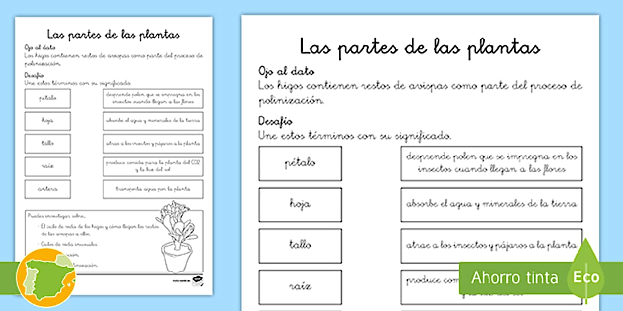 Ficha de actividad: Las partes de la planta (teacher made)
