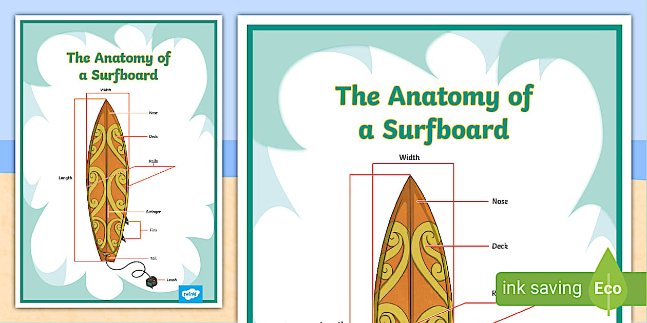 Anatomy of a Surfboard Poster (teacher made) - Twinkl