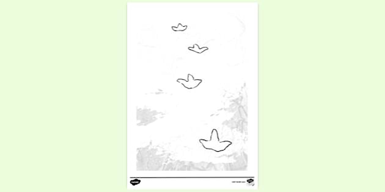 Trace Fossils Colouring | Colouring Sheets (teacher made)