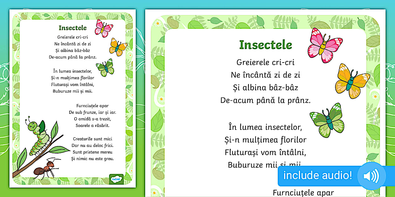 Insectele – Cântec pentru copii