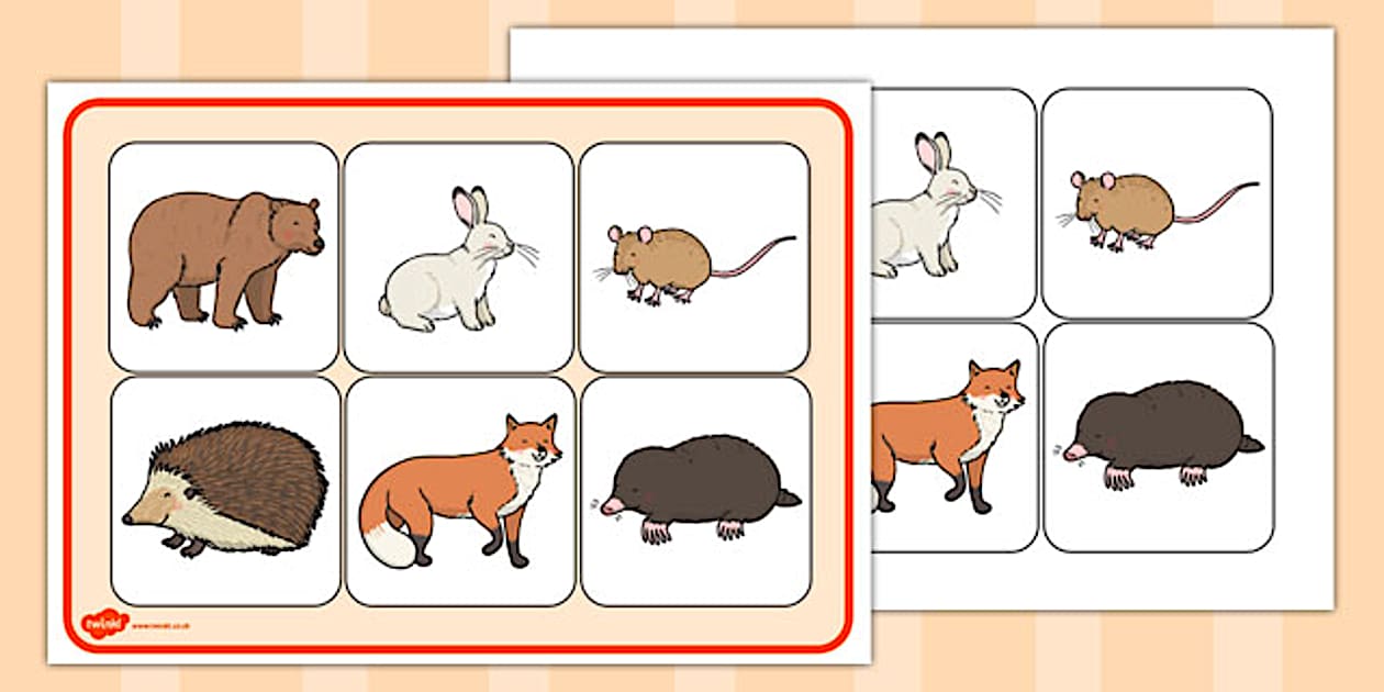 Black and White The Mitten Matching Mat SEN (teacher made)