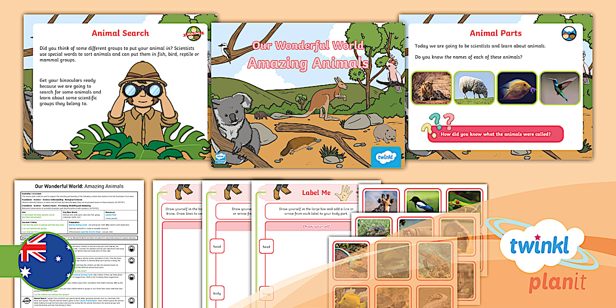 Foundation Science Wonderful World Lesson 2 Amazing Animals