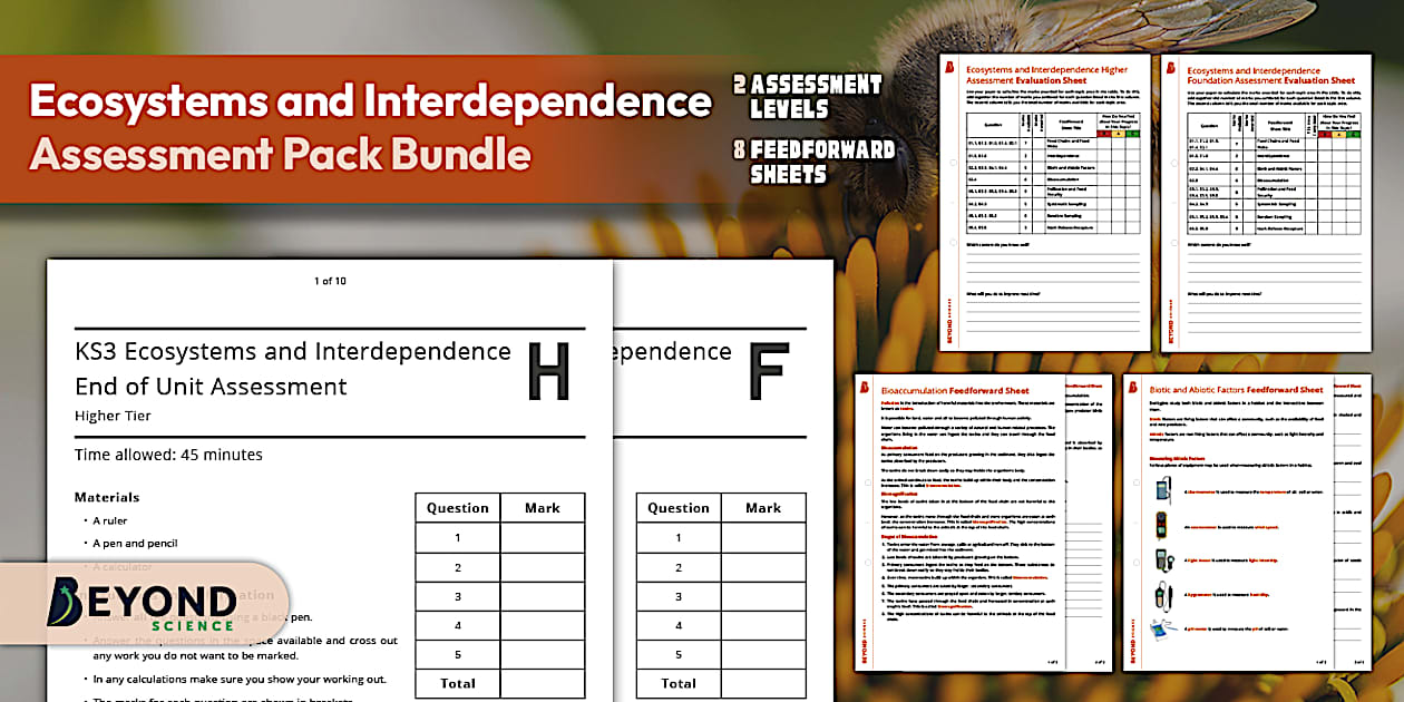 Ecosystems and Interdependence Assessment Pack Bundle