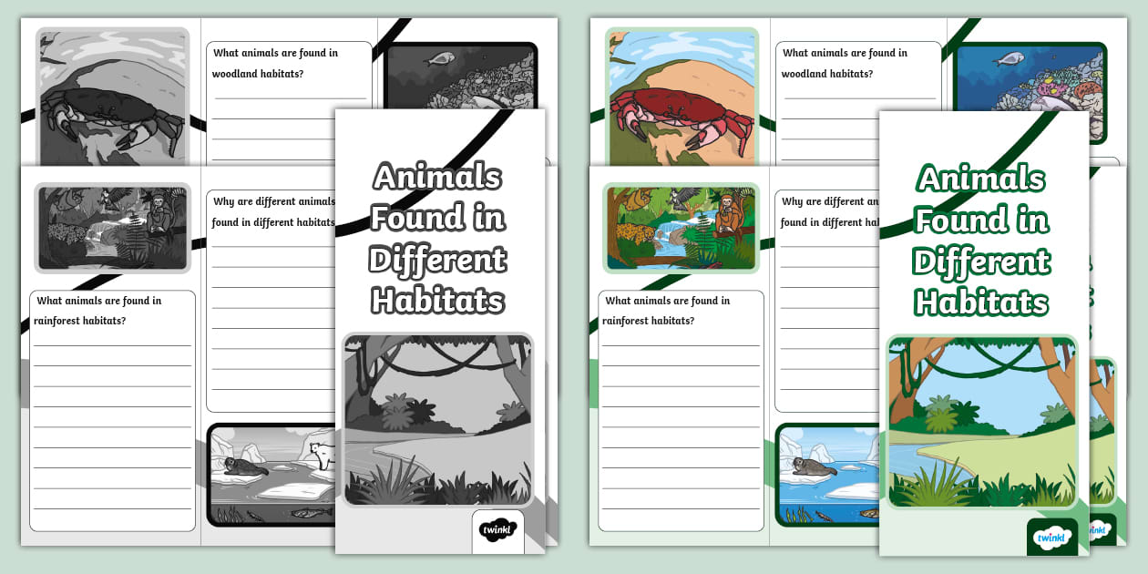 Animals Found in Different Habitats Leaflet Template