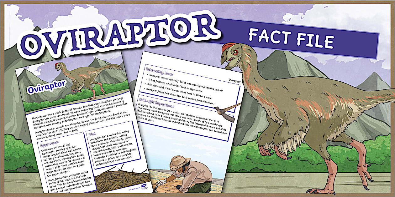 Oviraptor Fact File for Kids
