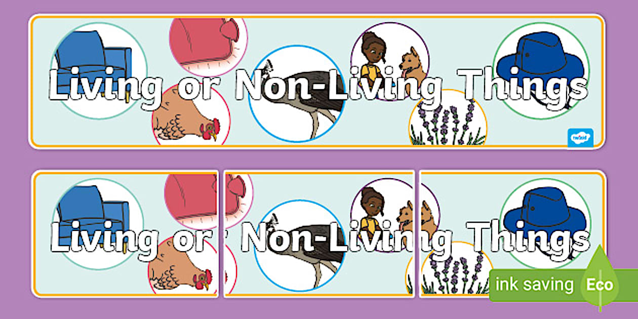 Cursive Living or Non-Living Display Banner - Twinkl