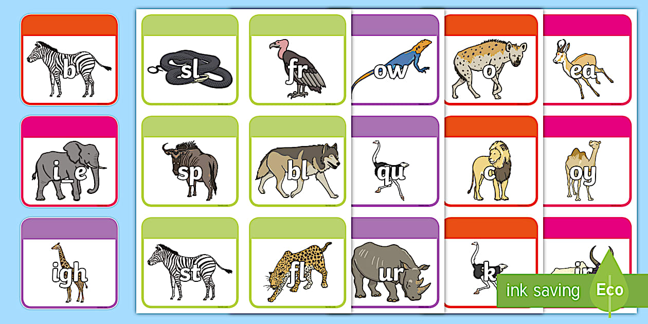 Phase 2 to 5 Phonemes on Safari Animals Flashcards - Twinkl