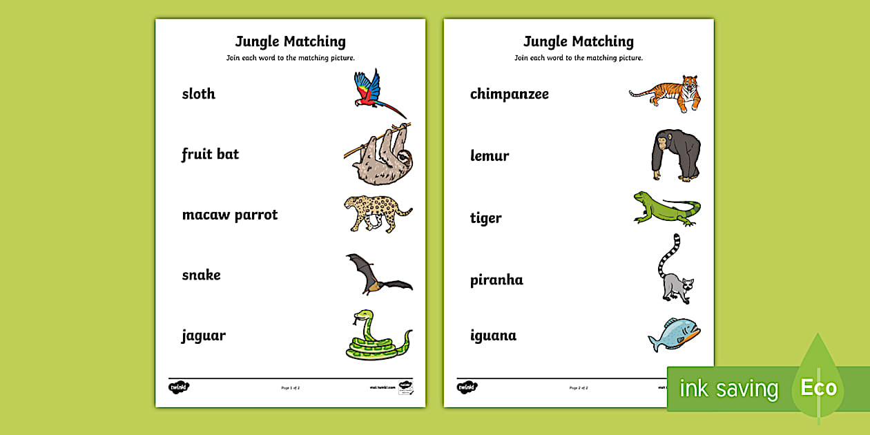Jungle Themed Word And Picture Matching Worksheet - Twinkl
